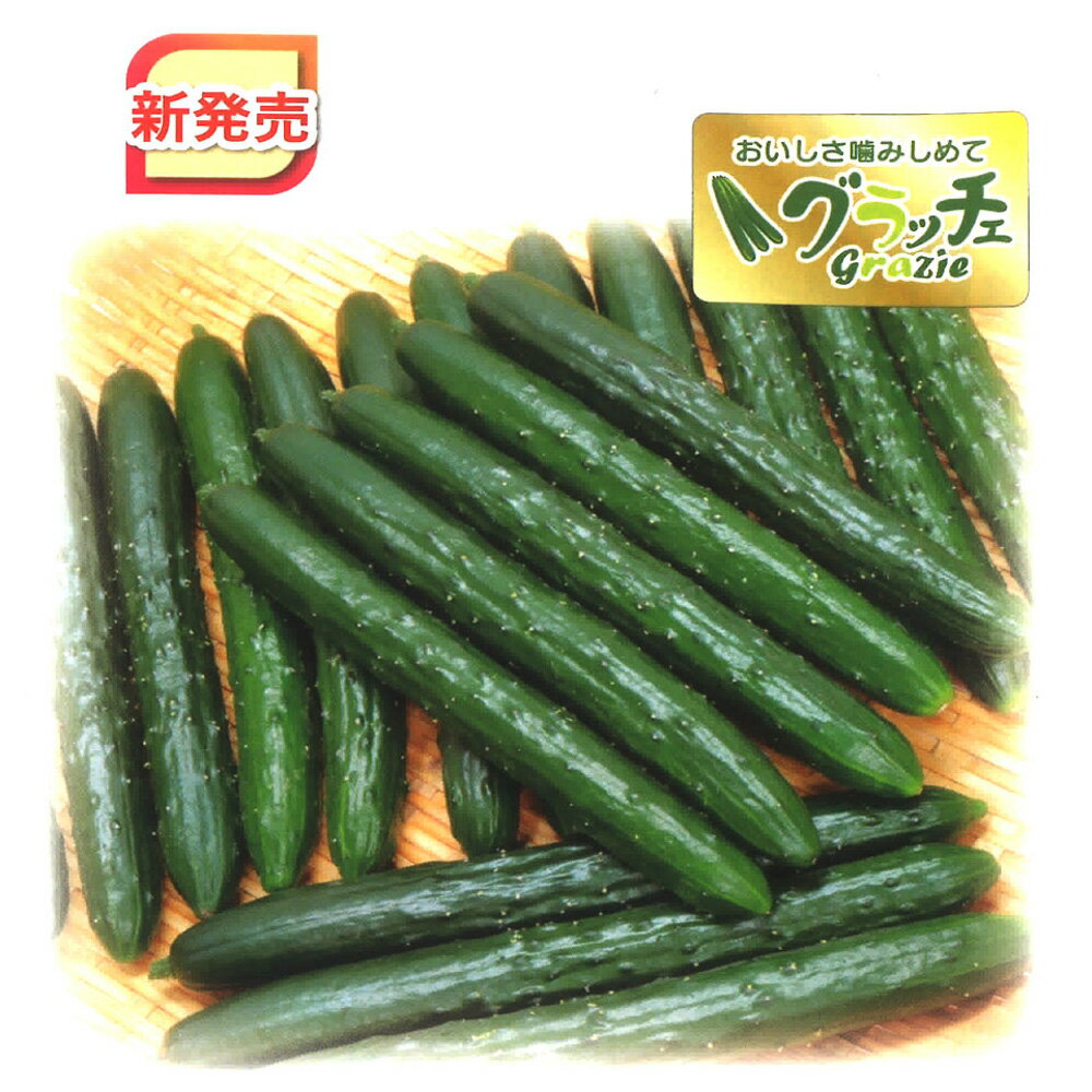 果実は22-23cmの円筒形で、肩コケ・先細少なく、秀品率が高い。