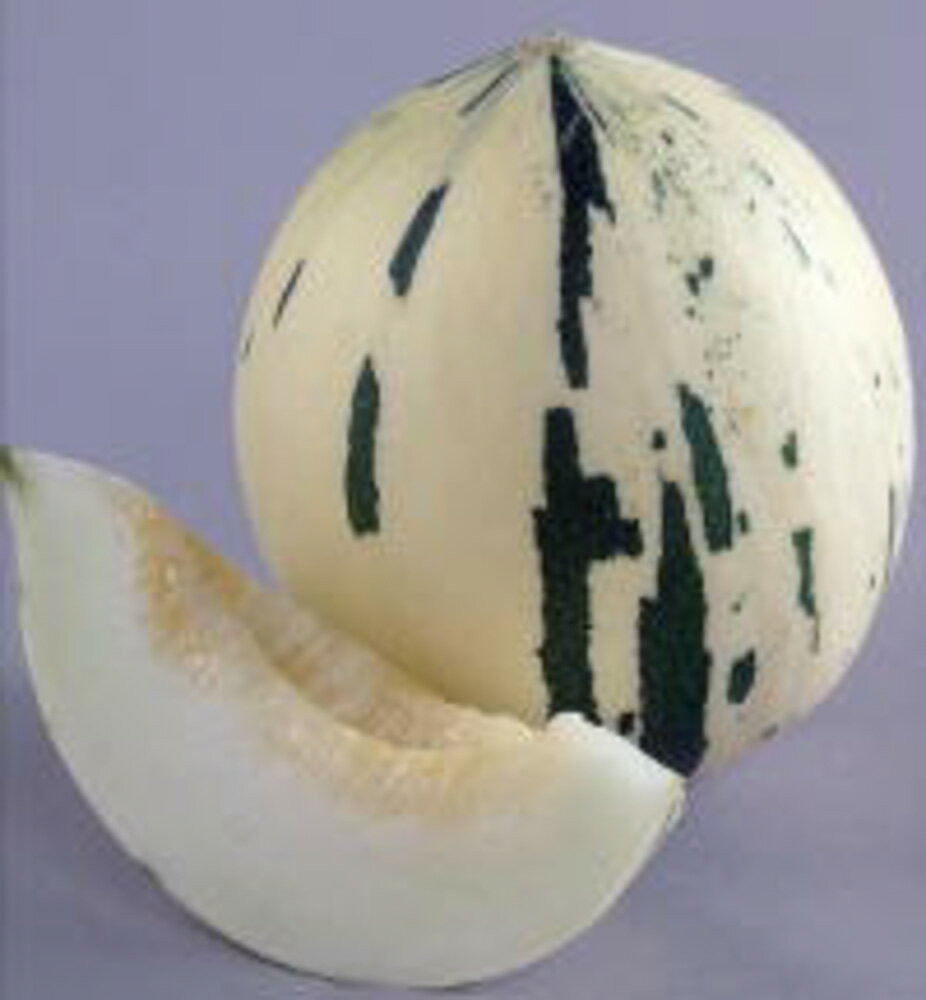 果肉は白色。まろやかな食感で糖度は高く甘味を強く感じる