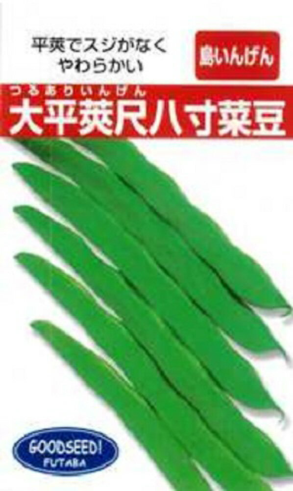 莢を大きくして収穫してもスジが入らずやわらかい。