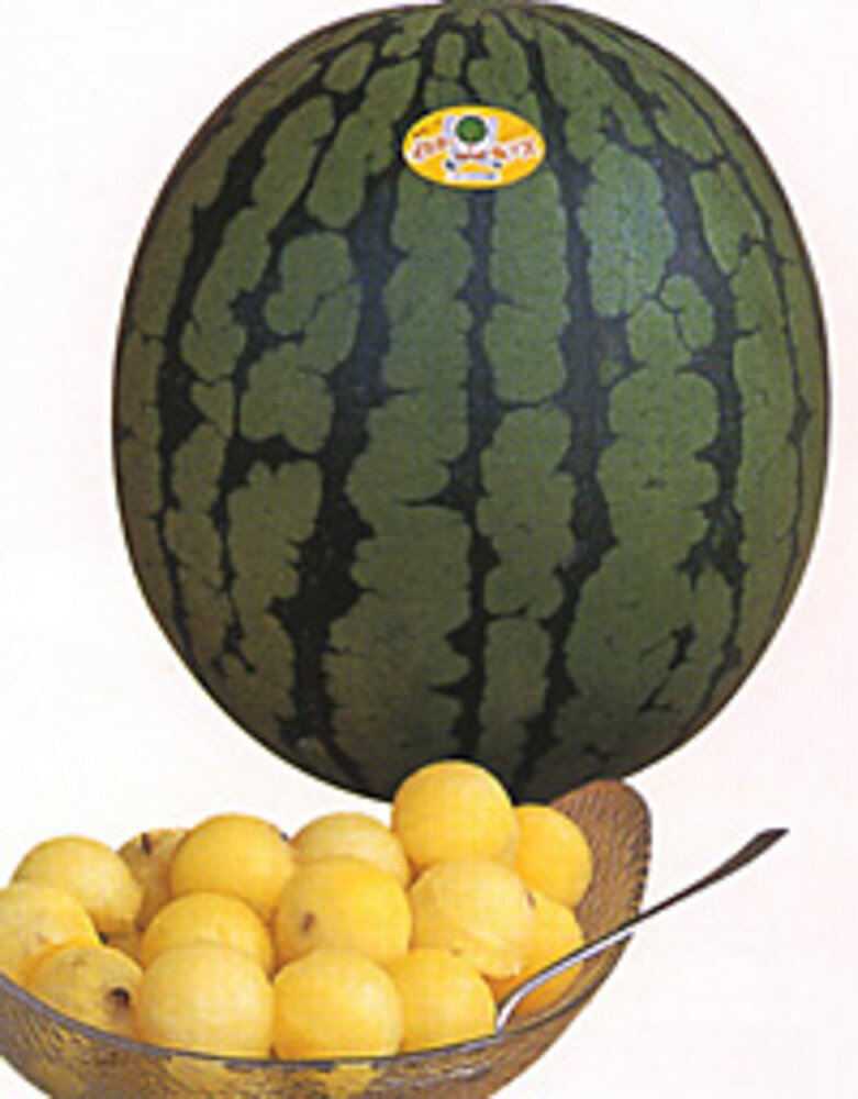 鮮やかな黄色、肉質適度にしまり食味良い