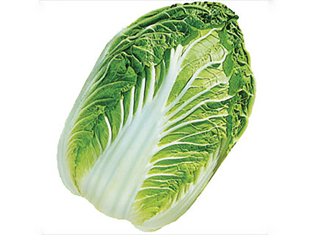 根こぶ病に強い良質の黄芯系.安定した晩抽性、冷涼地で大好評