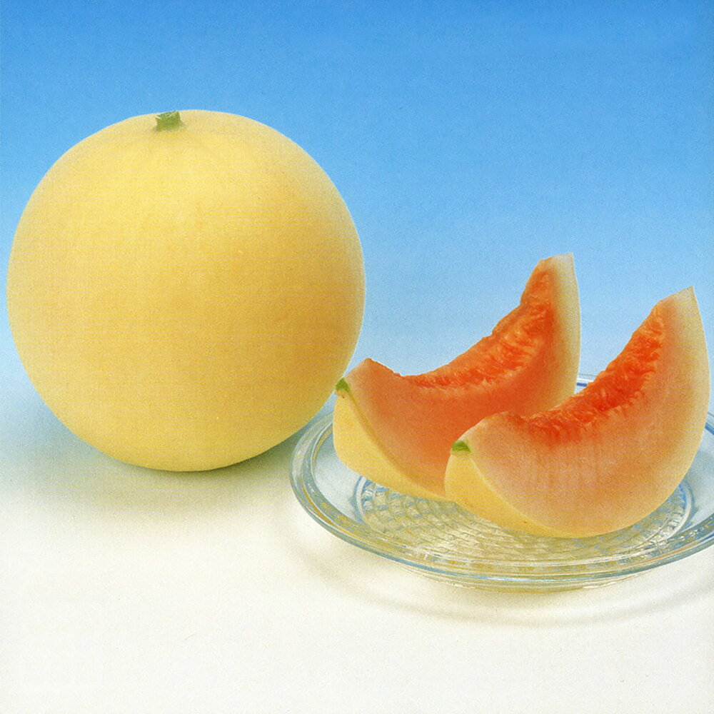 宝石のような美しい果肉、まろやかな甘み、食味、品質ともに抜群です。