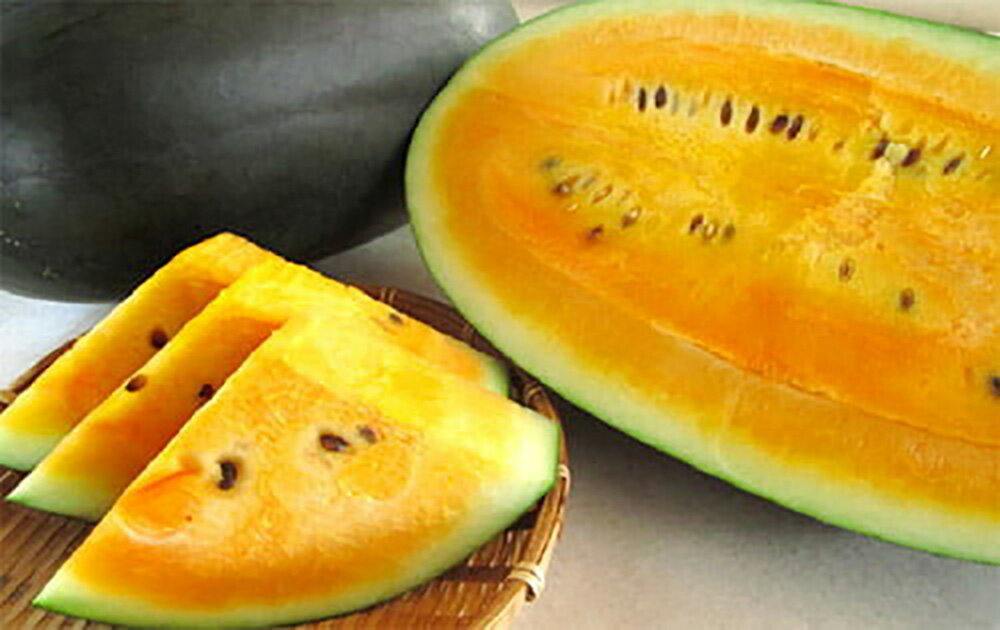 とにかく甘くて美味い黒皮オレンジスイカ！