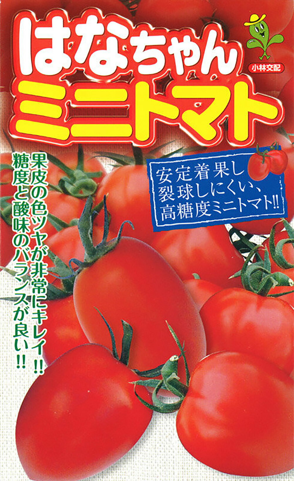 ハウス半促成から、抑制栽培に向く中早生品種です。