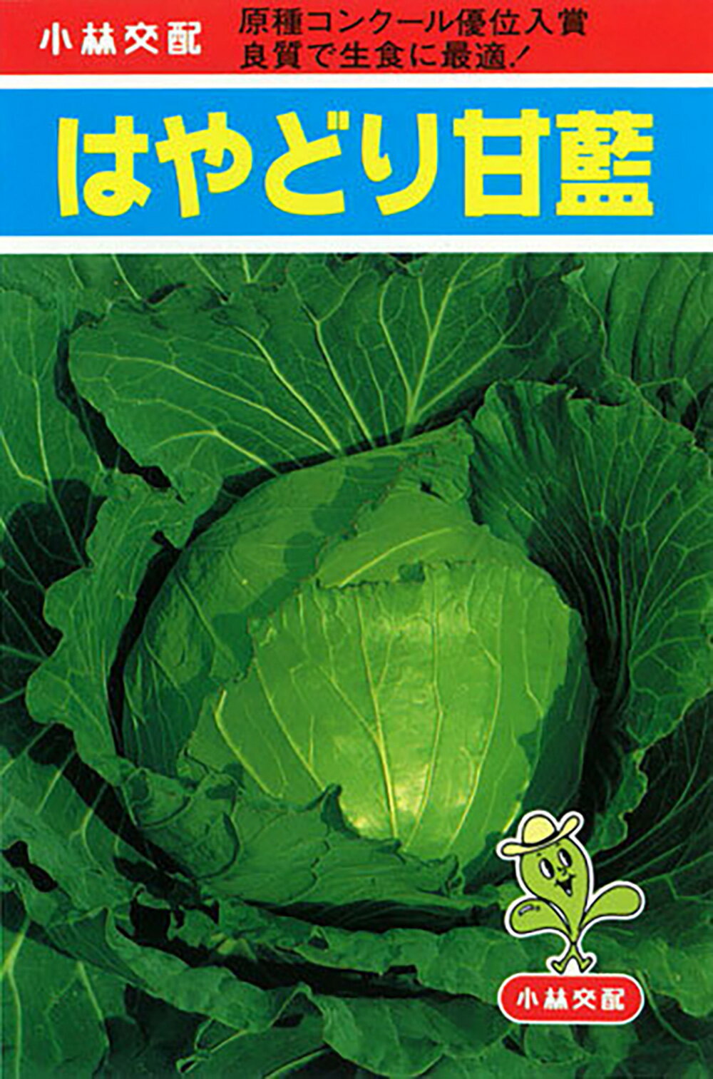 食味はレタスに近い葉質で、シャキシャキ感があり、大変おいしいキャベツです。直売所で人気のでる美味しいキャベツがつくれます。