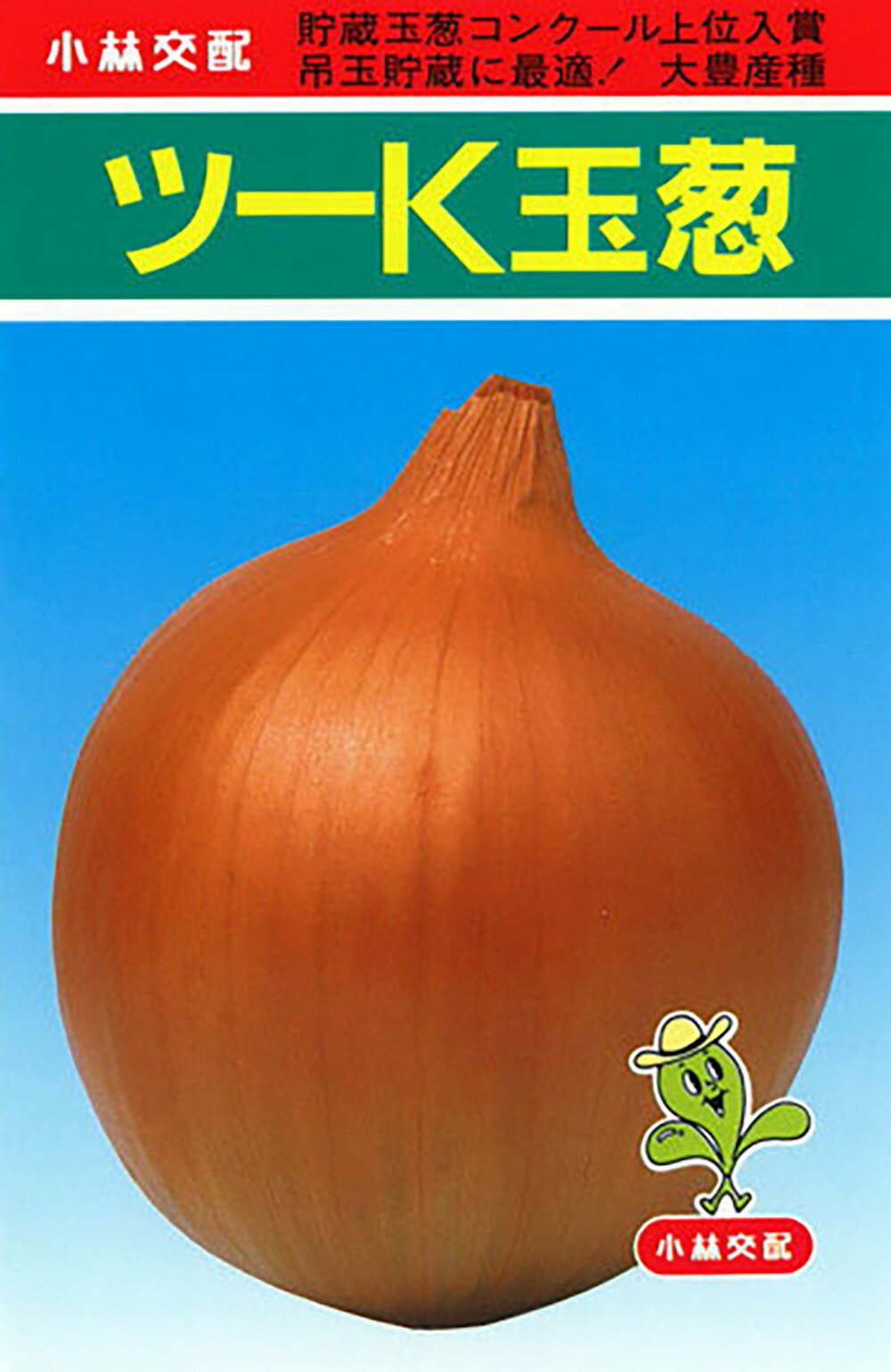 形は球に近い甲高で極めて貯蔵性が高く、球が堅くしまり、腐敗少なく萌芽が遅いので、2月までの貯蔵が可能です
