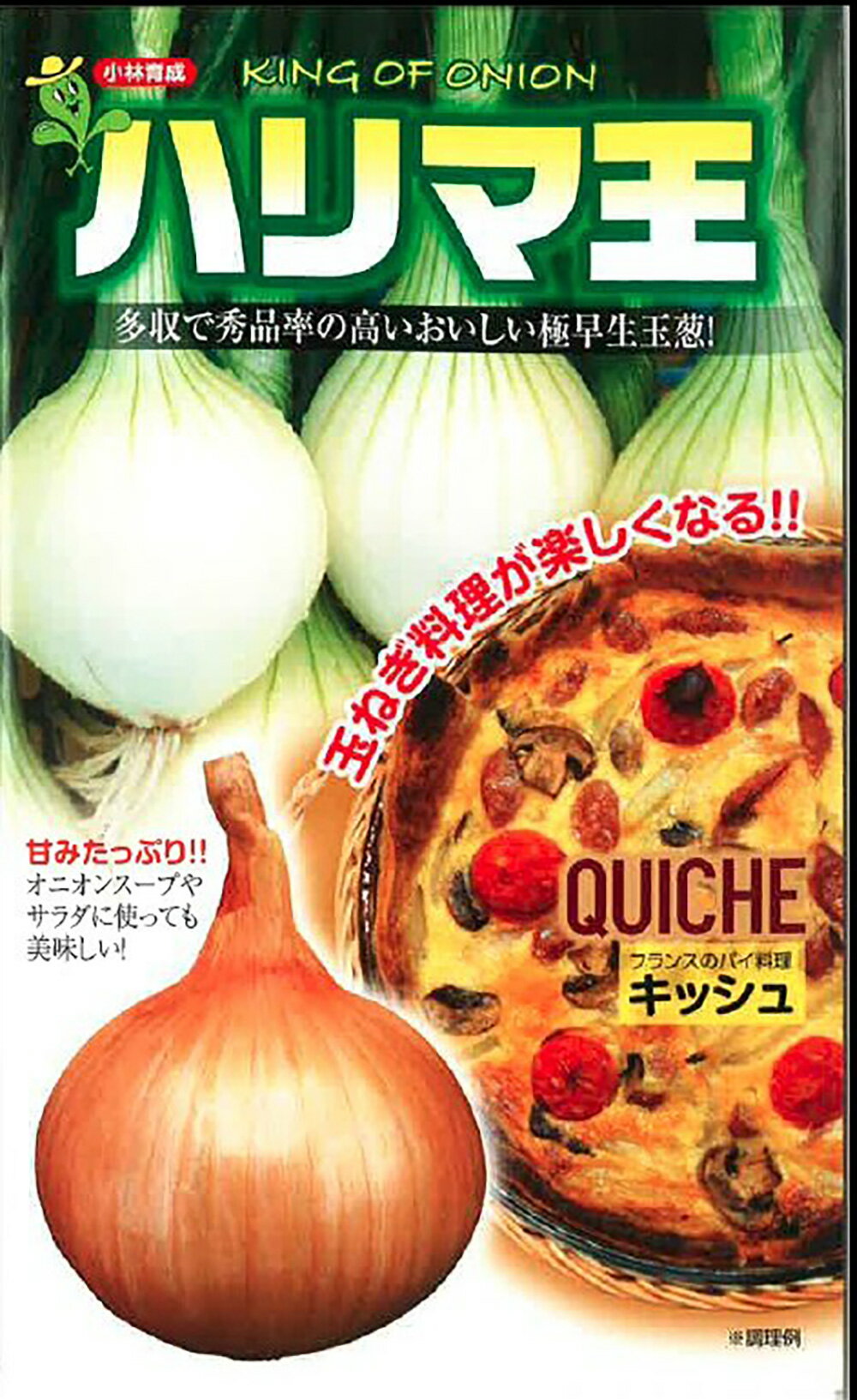 この玉葱は極早生玉葱であって、日長12時間半前後で肥大収穫できる品種です。