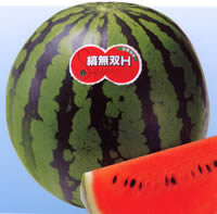 ●トンネル〜露地栽培に最適。裂果しにくく作りやすい安定品種。秀品率抜群。