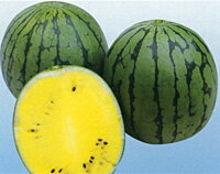 着果良好。品質最高級