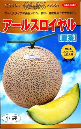 作りやすく糖度も高いアールス系の入門品種