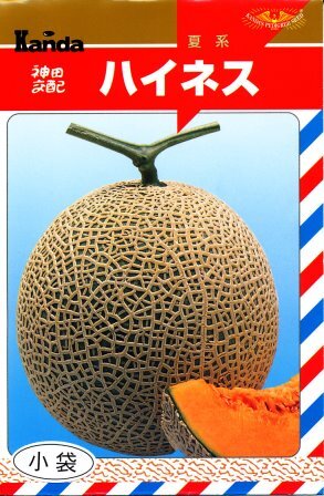 ネットの美しい赤肉アールス、高糖度で美味