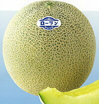 接木不要、うどんこ病・つる割病抵抗性、栽培容易、安定したネットと形状。肉質・食味・芳香抜群。