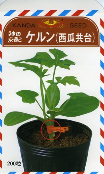 育種と技術で大地の恵みをお届けします。