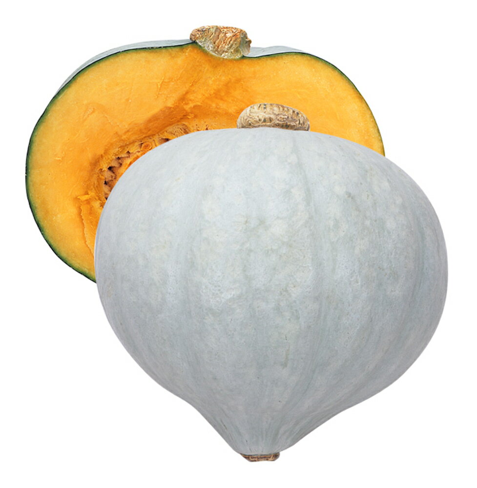 極めて高い粉質感！貯蔵性！収量性！