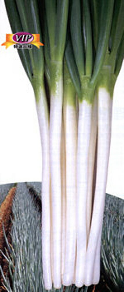 夏秋穫り用F1品種！秀品率・作業性UP！