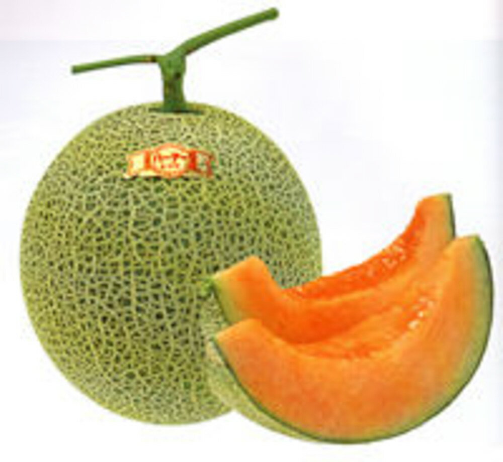 ●食味と日持ちの良い、耐病性赤肉ネットメロン