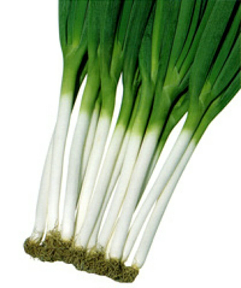 端境期の5〜6月出荷で評価抜群