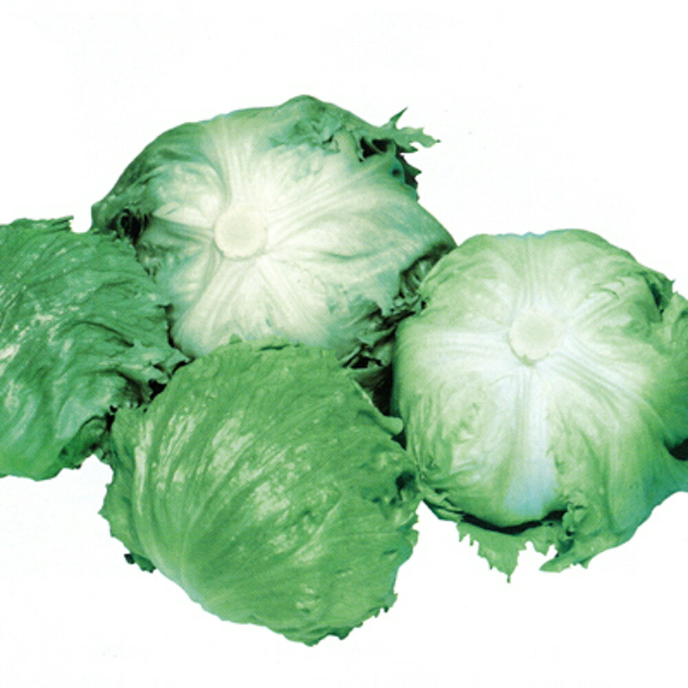 海外持出禁止 (公示(農水省HP)参照)