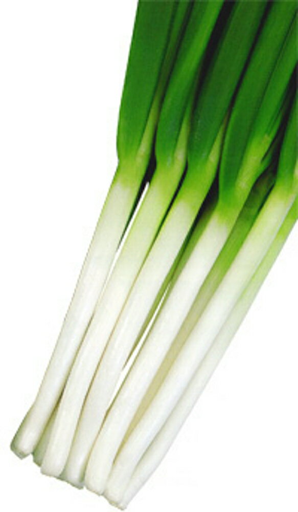 作型適応幅が広く、品質の優れたF1品種