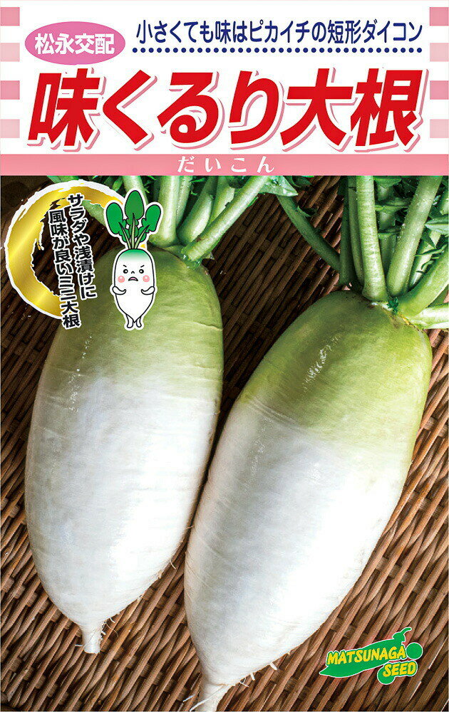 太った格好が面白く、食べると美味しい家庭菜園最適品種！