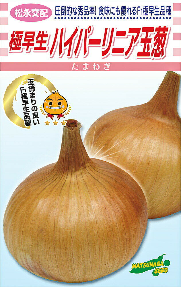 楽天市場】浜笑 たまねぎの通販 楽天市場】浜笑 たまねぎの通販