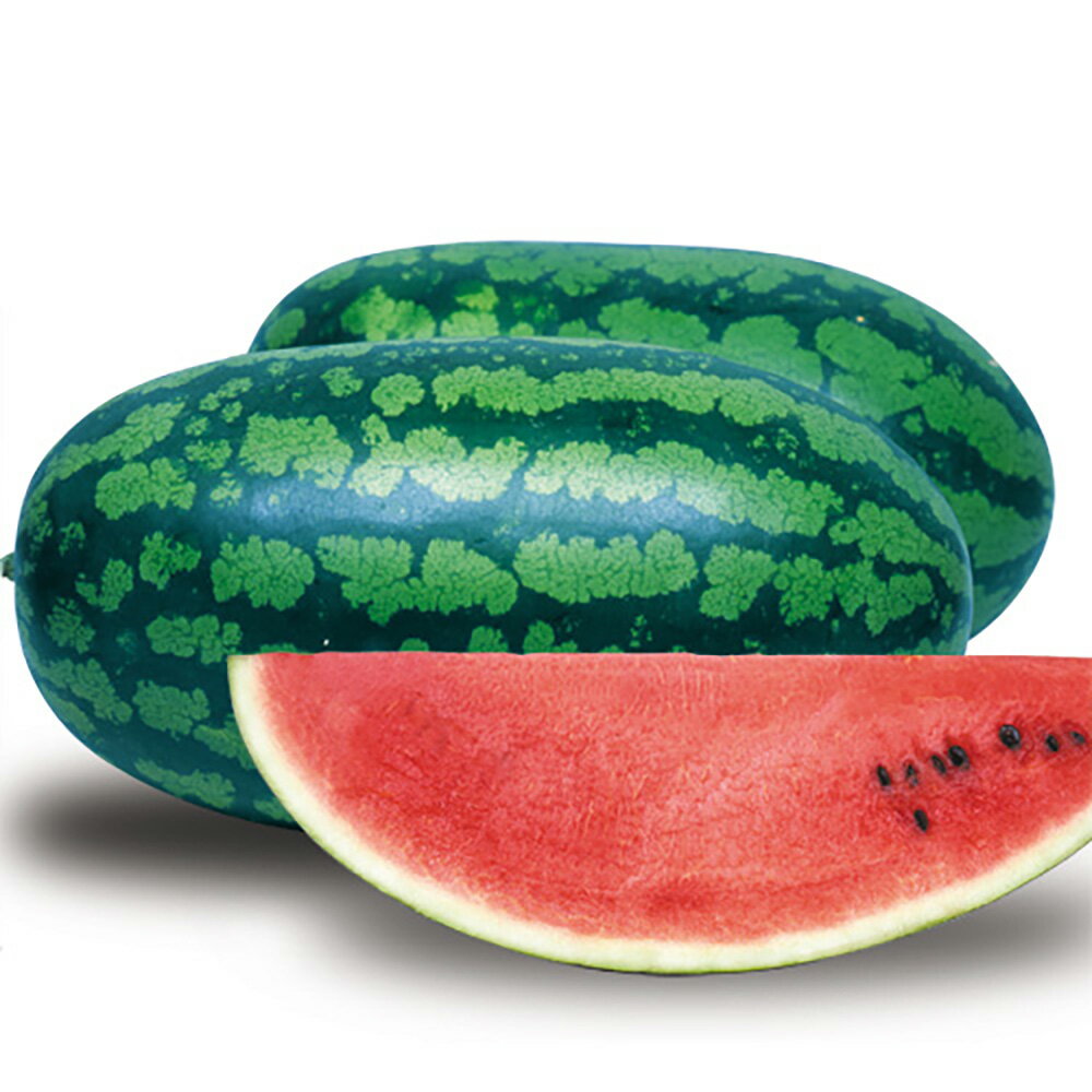 果実は8?10kg以上になる大玉太縞皮楕円形品種です。