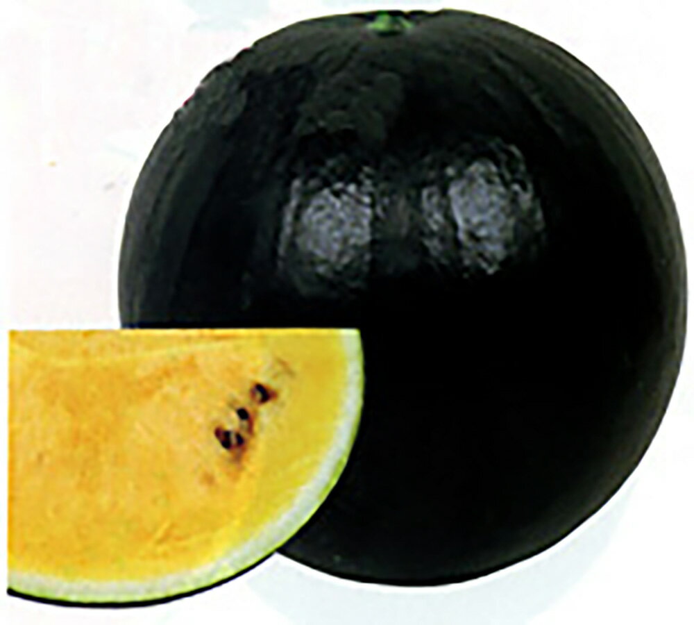 ●外観ユニーク、濃黄果肉で食感上品！！