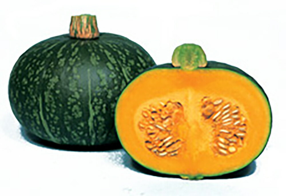 極早生、味が自慢の豊産種