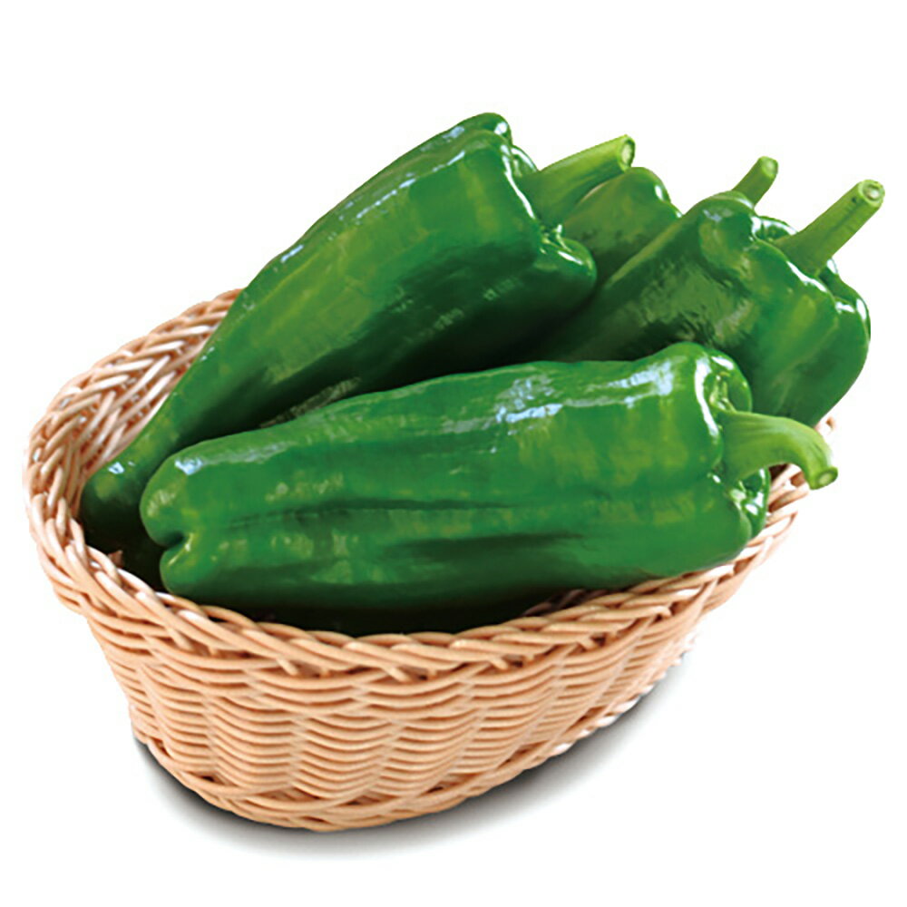 収量性が高く、食べごたえ充分のジャンボピーマン！