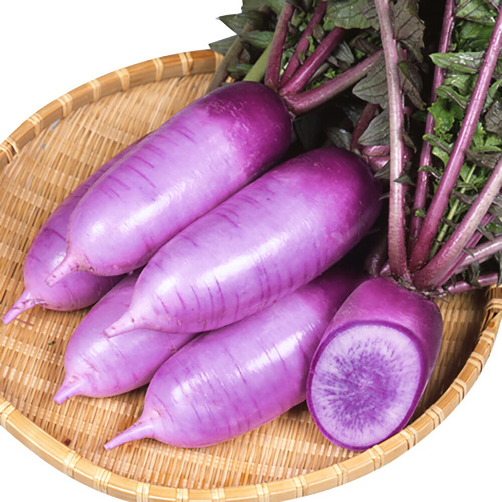 特徴のある紫色のミニ大根！見てよく、食べてよしの美味しい品種