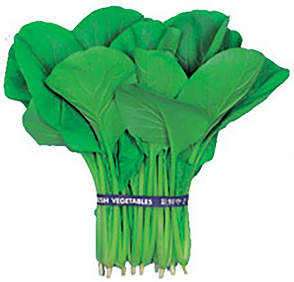 全日本そ菜原種審査会一等賞受賞 株張り・株揃いのよい小松菜