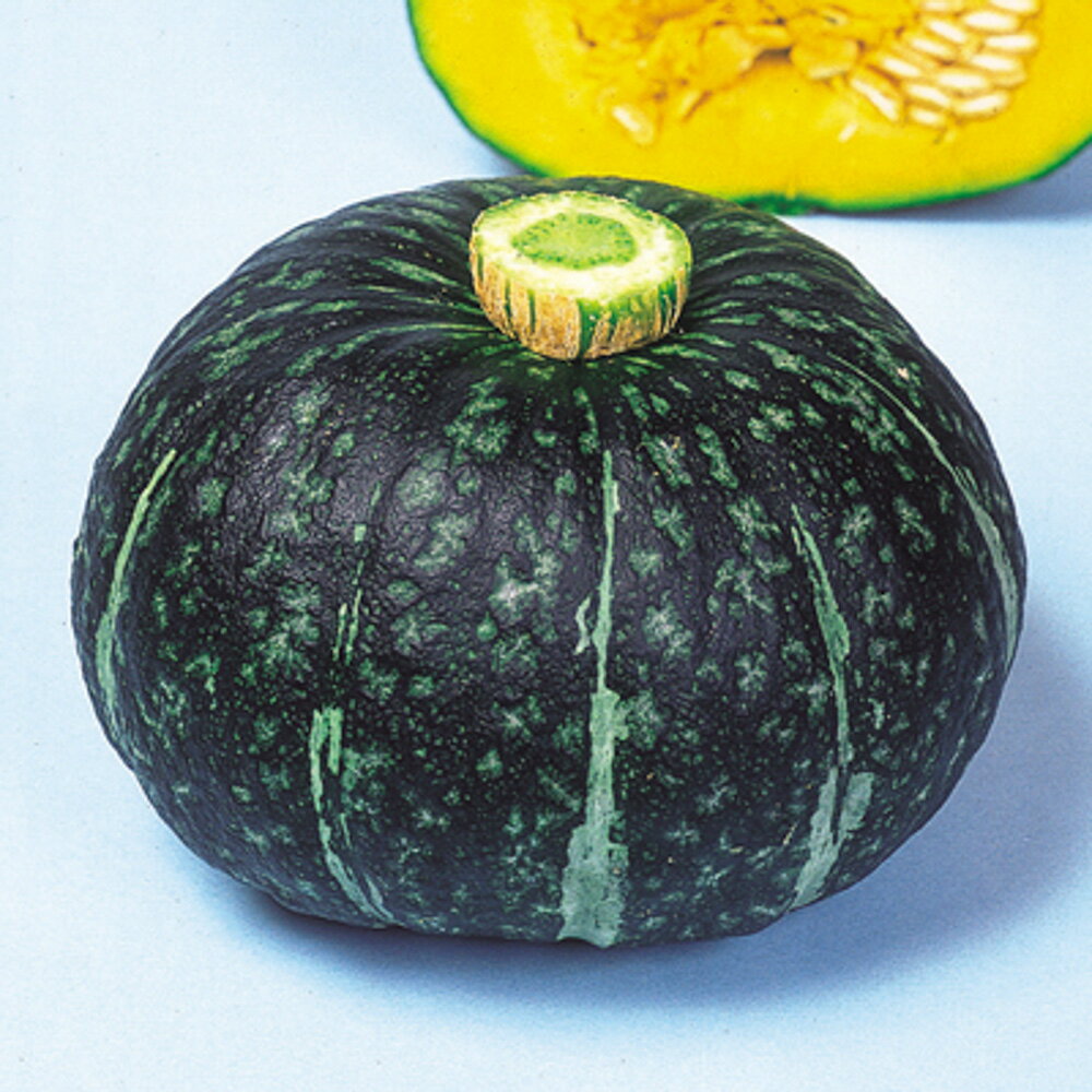 果肉は濃橙黄色で、おいしい南瓜！