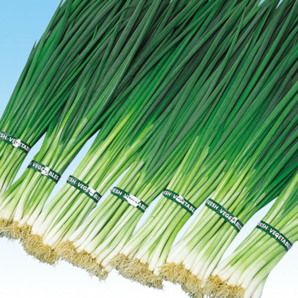 春蒔・秋蒔の決定版！