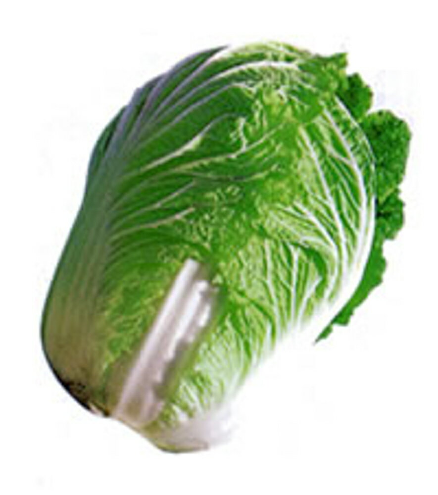 品質極上の早生、豊産種。耐病性で栽培容易。