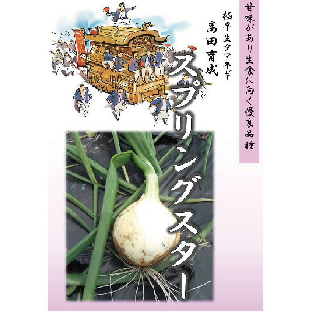 草姿はやや立性で、生育旺盛で作りやすいです。