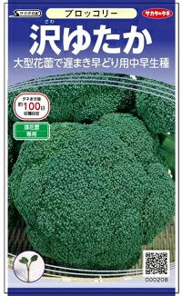 豊円形の大型花蕾で遅まき早どり用中早生品種