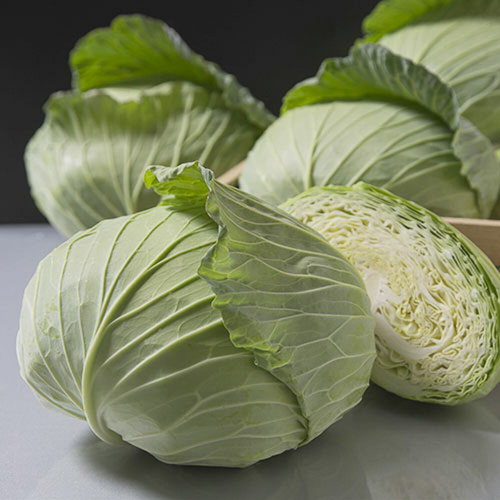 耐寒在圃性にすぐれ、黒腐病に強い.年内?年明けどりの寒玉中生種