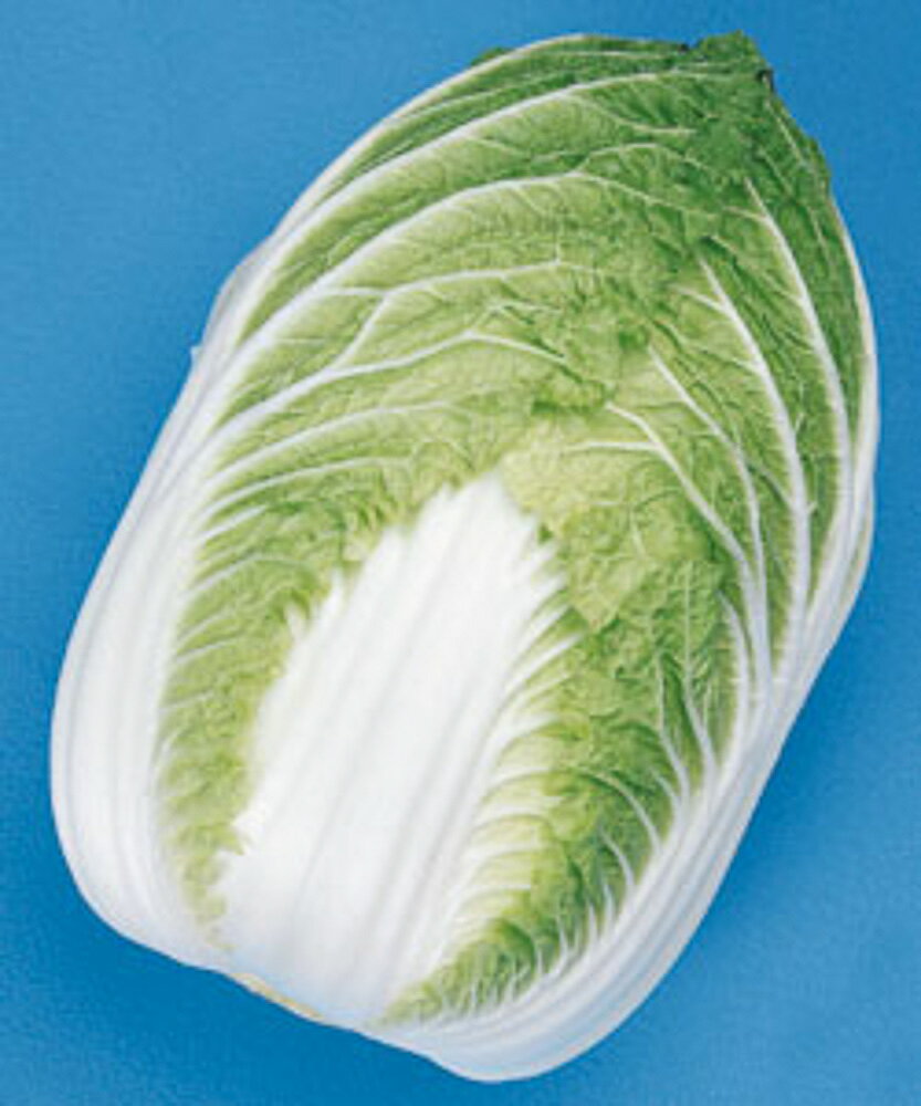 肥大がよく品質良好！年内どりの中早生種！