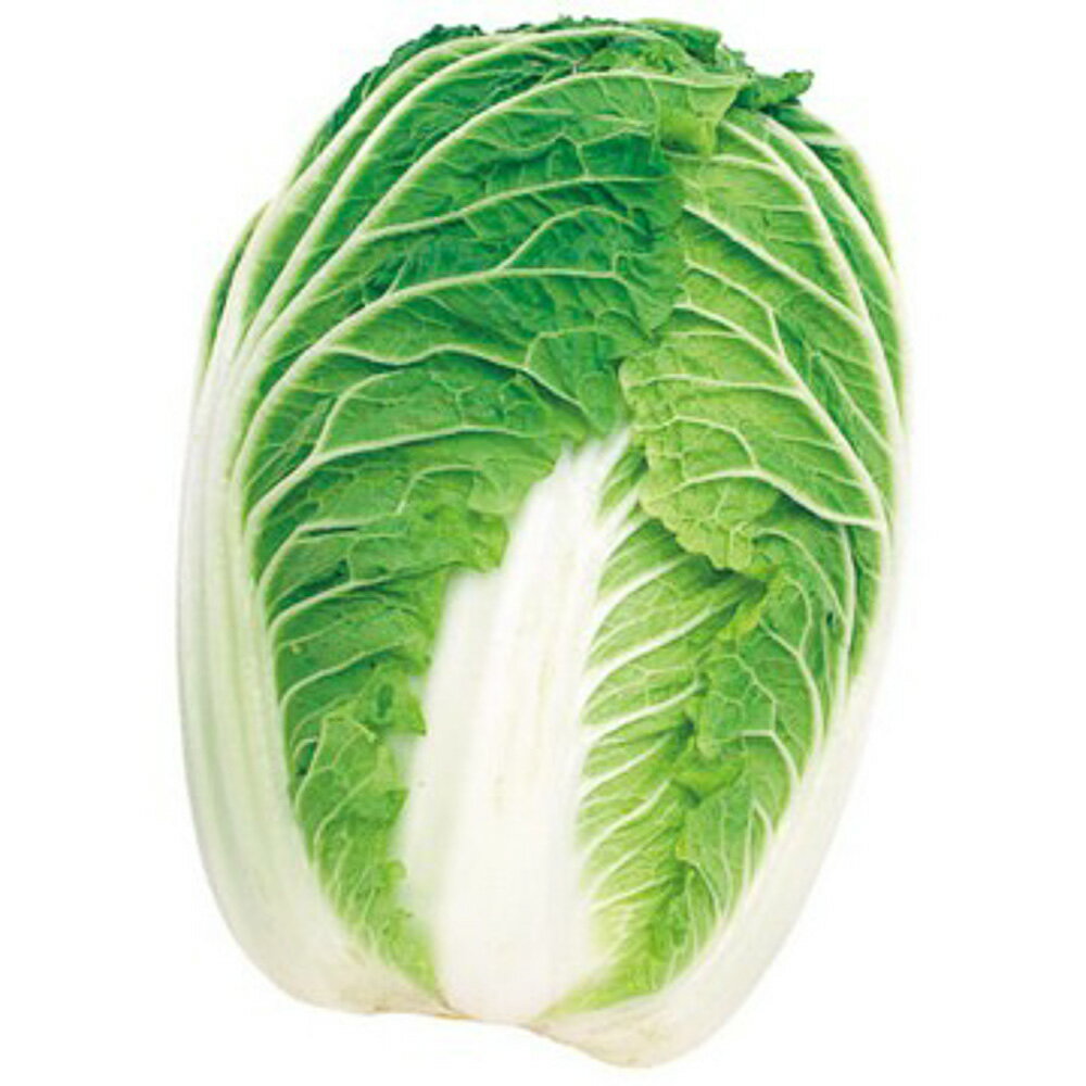 生育は旺盛で肥大性がよく、栽培しやすい。古くから、味のよい品種として定評がある。関東以西の各地で広く栽培でき、特に暖地の冬どりが可能。