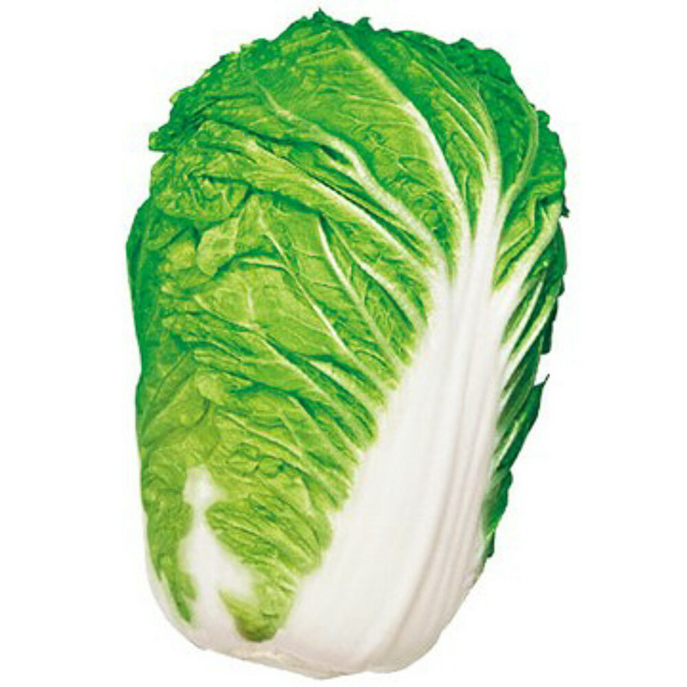 愛知系の良質早生種！肉質やわらかく食味良好！