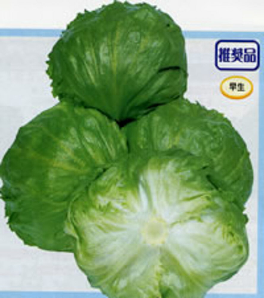 ●春の早まき早どり栽培に最適！