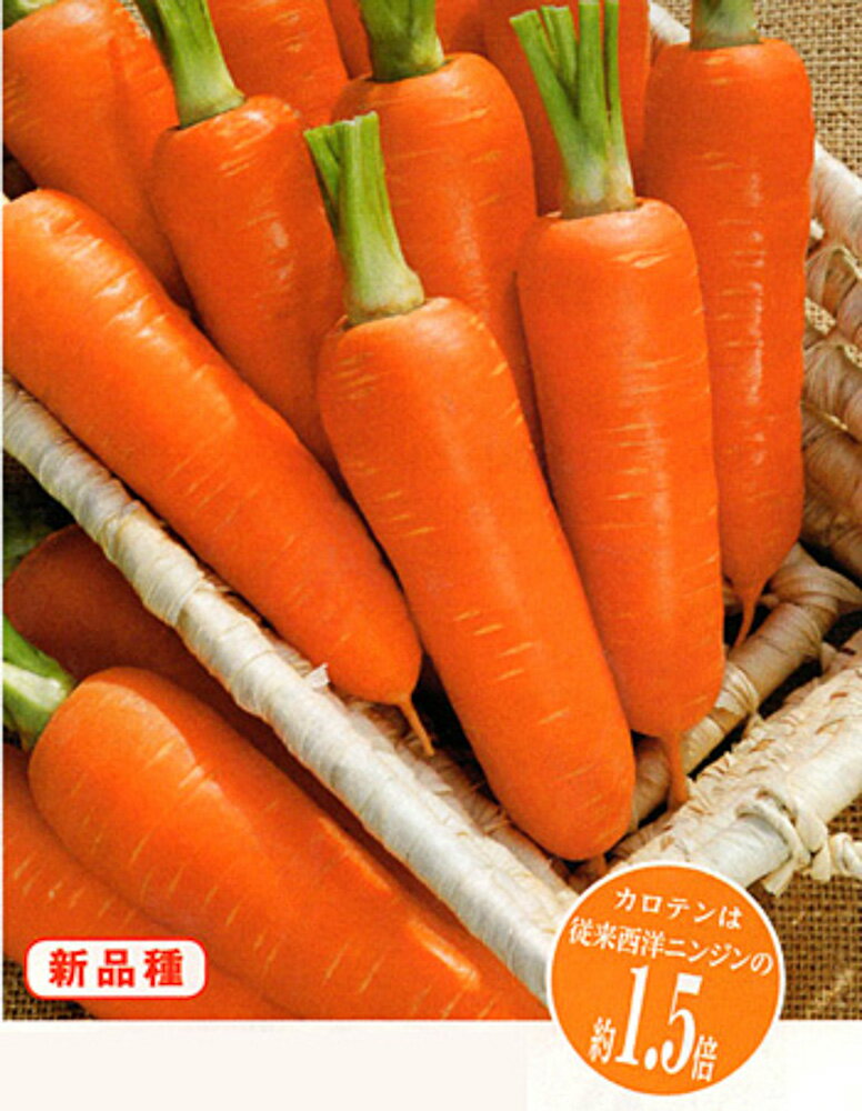 カロテンたっぷりで甘い冬どりの五寸ニンジン！
