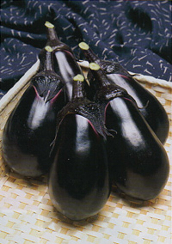 ●直売所や家庭菜園で人気のやわらかくおいしい水ナスで、ほとんどトゲがない。