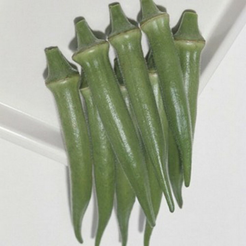 肉質やわらか！食味にすぐれた丸オクラ！