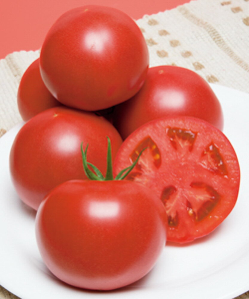 葉かび病耐病性(Cf9）の「ハウス桃太郎」タイプ！