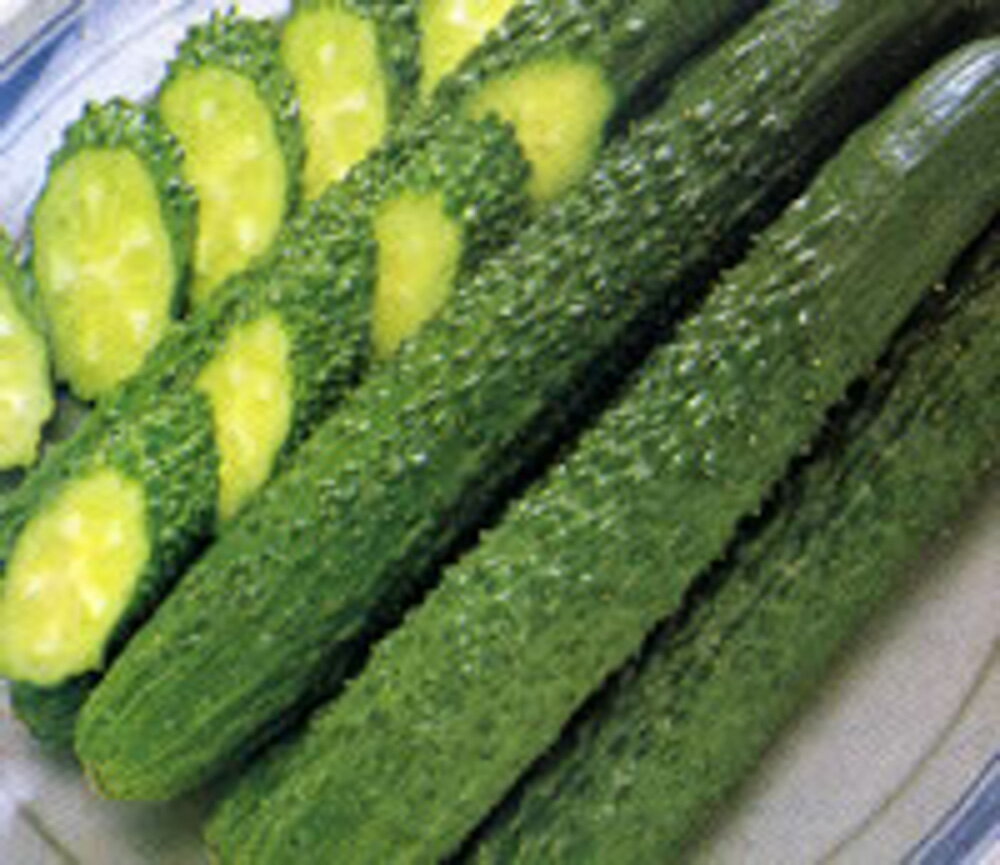 ●味わい深い食味の短形四葉！