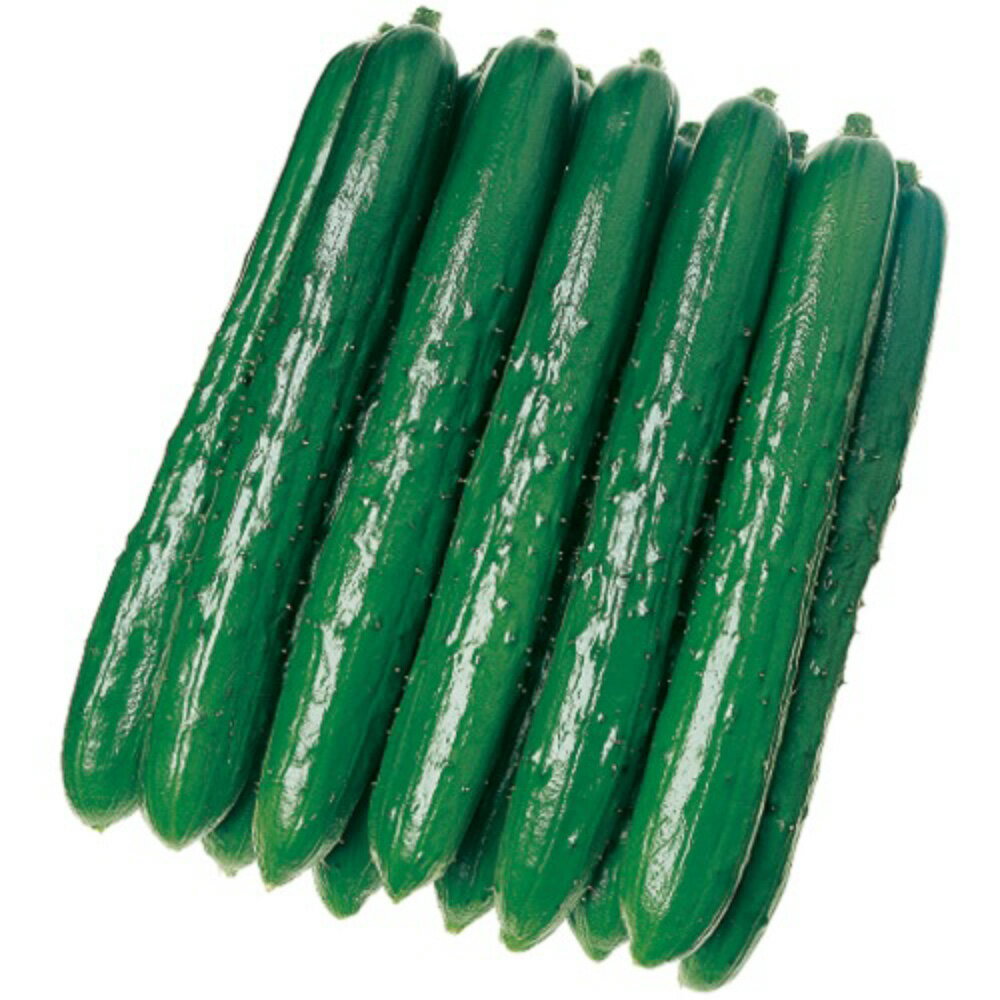 極濃緑果で高秀品率！ 　整枝労力が軽減できる省力種！