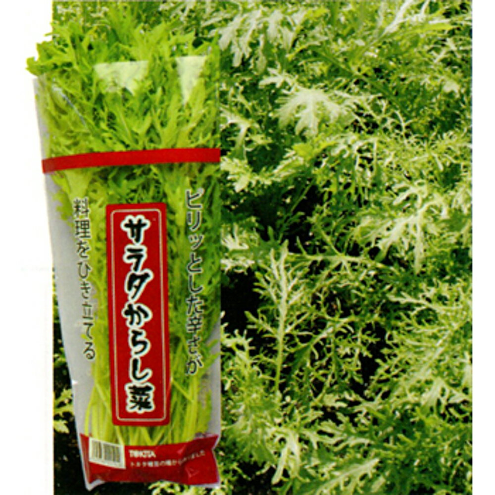 ピリッとした辛味、鍋物やサラダに最適