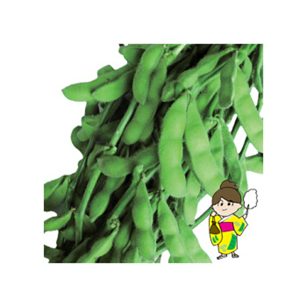 濃緑大莢白毛で食味良好な早生