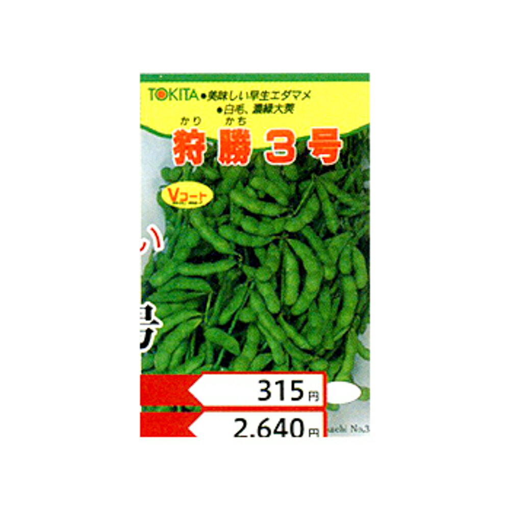 莢つきのよい白毛優良種